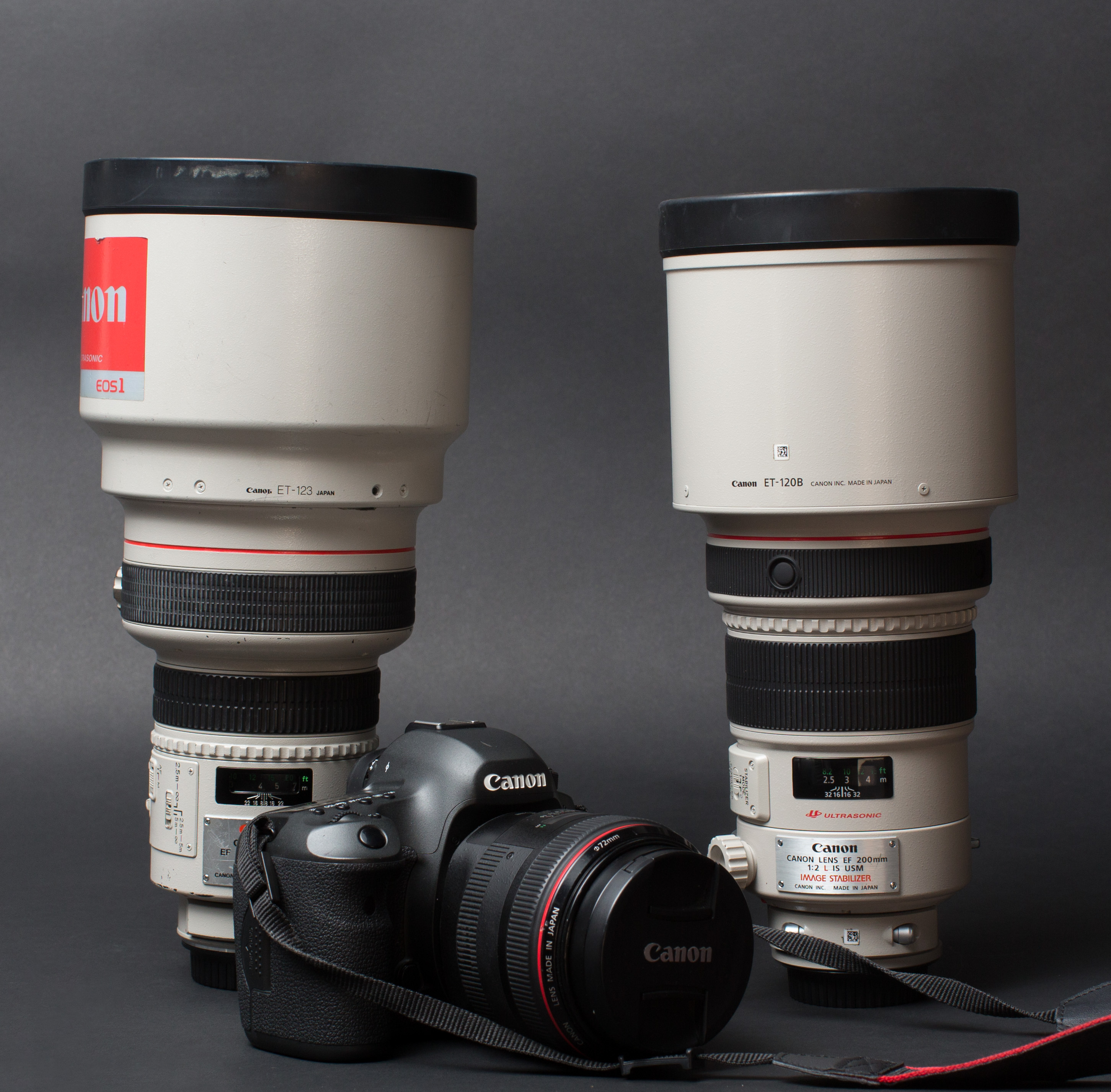 Holy Grail Canon 200mm F 1 8 L JuzaPhoto Holy Grail Canon 200mm F 1 8 L JuzaPhoto
